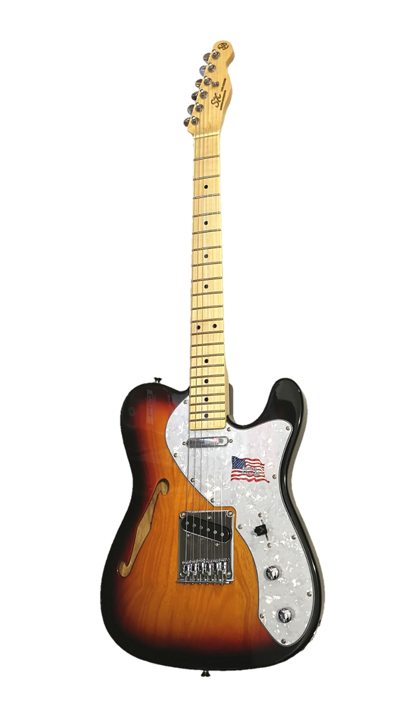 Sx Thinline Telecaster Style Hollow body Electric Guitar- TE-STL/H/3TS – Thundercloud Music Store